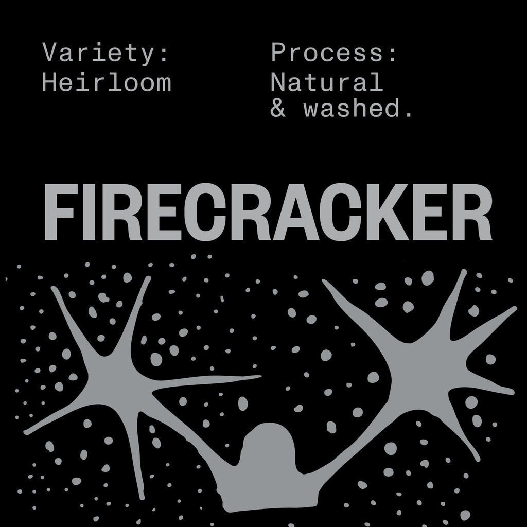 FIRECRACKER – Single O