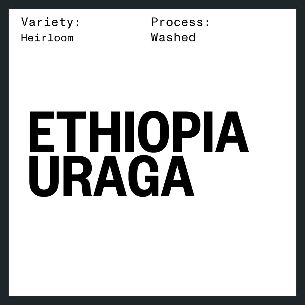 Ethiopia Uraga By Smallholder Producers – Single O